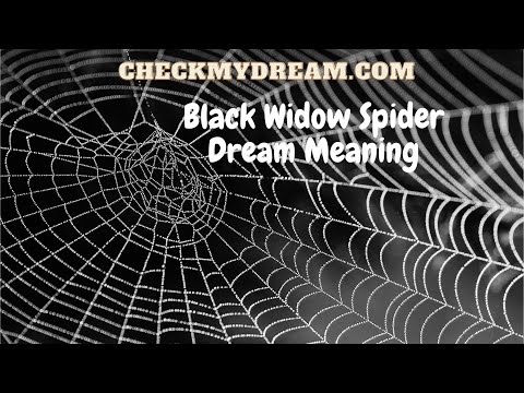 Black Widow Spider in a Dream: Toxic Ties or Transformation?