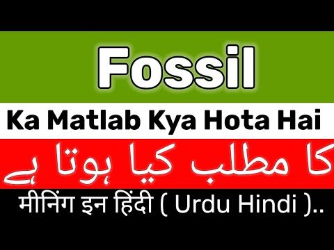 Fossil Meaning | Fossil Meaning In Urdu/Hindi | Fossil Ka Matlab Kya Hota Hai | Fossil Meaning Kya