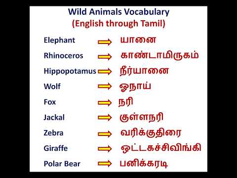 Wild Animals Vocabulary English through Tamil #learnenglish #englishtotamil #tamiltoenglish