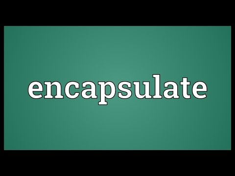 Encapsulate Meaning