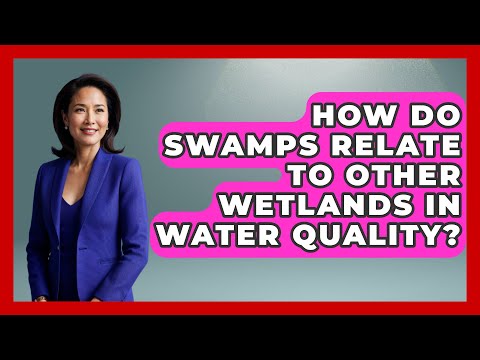 How Do Swamps Relate To Other Wetlands In Water Quality? - Reptilian Wonders