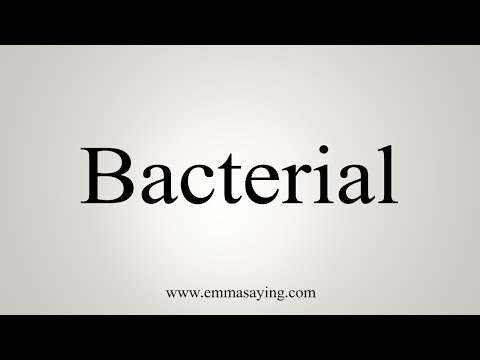 How To Say Bacterial