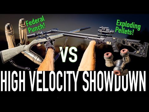 Crazy SUPERSONIC Exploding Airgun Pellets VS .22 LR Self Defense Rounds!