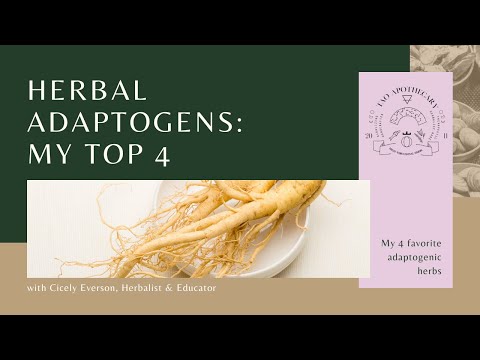 My Top 4 Adaptogenic Herbs