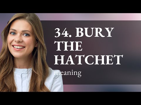 Unveiling Peace: The Story of "Bury the Hatchet"