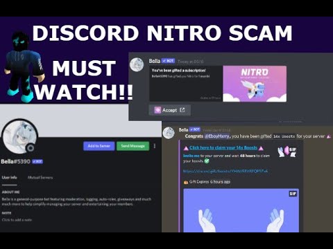 Discord Bella Bot Nitro Scam Explained (MUST WATCH)