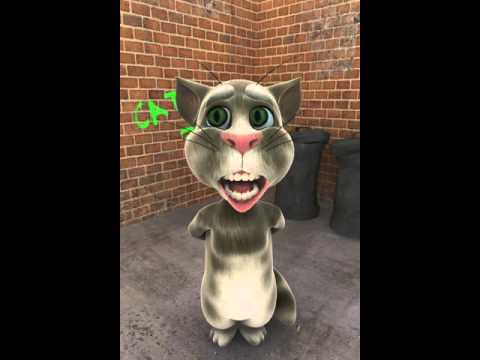 Talking Tom facebook question