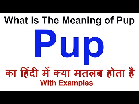Pup Meaning in Hindi | Pup Definition | Pup Ka Matlab Kya Hota Hai | Pup in Hindi
