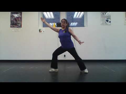 Basic Footwork training: Lunges - USFCA