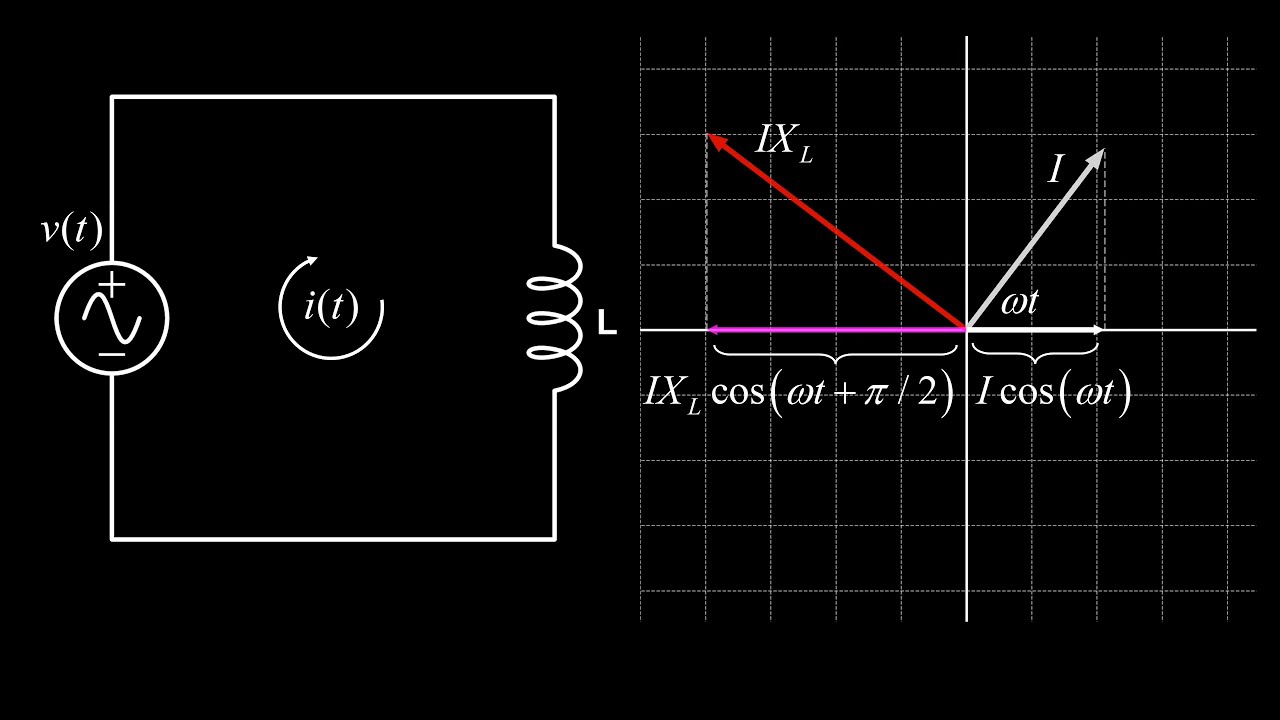 The inductor voltage phasor and inductive reactance. [AC circuit physics]