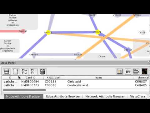 Exploring KEGG global metabolic pathway using Cytoscape