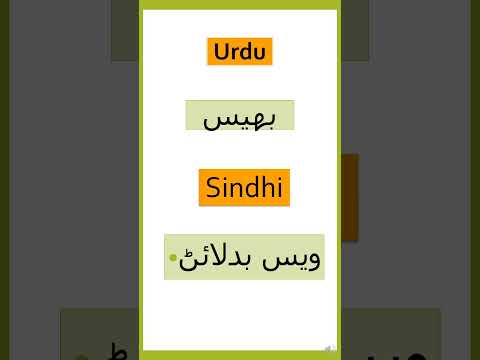 disguise meaning Urdu sindhi English with sentence.