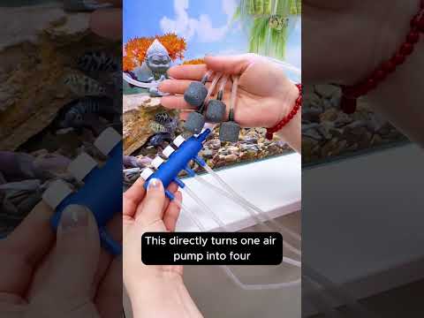 Maximize Your Air Pump: Oxygenate Multiple Aquariums with One Device