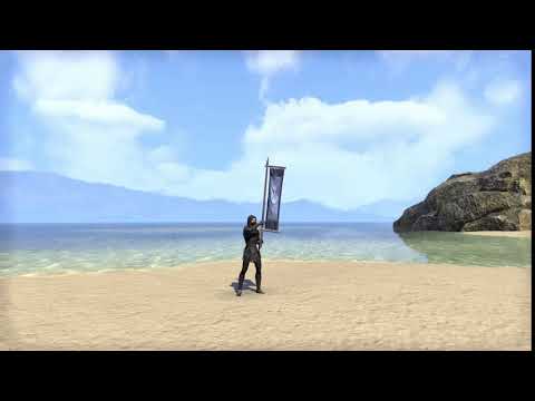 ESO Fashion | Daggerfall Covenant Banner (Elder Scrolls Online)