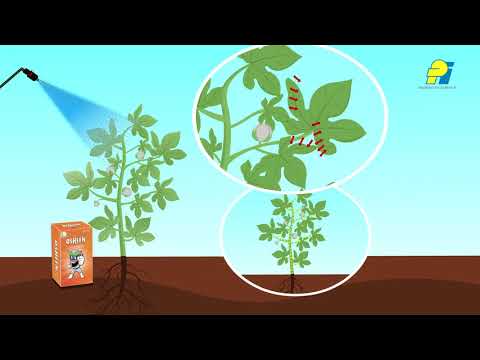 PI Insecticides - Latest Price, Dealers & Retailers in India