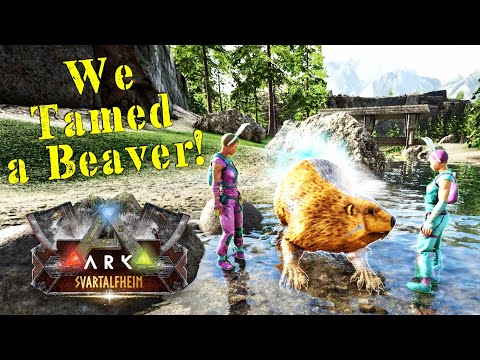 Steam Community :: Video :: Geodes, Obsidian and Beavers! Successful ...