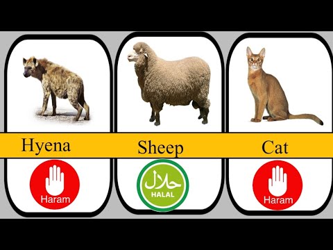 Halal and Haram animals list