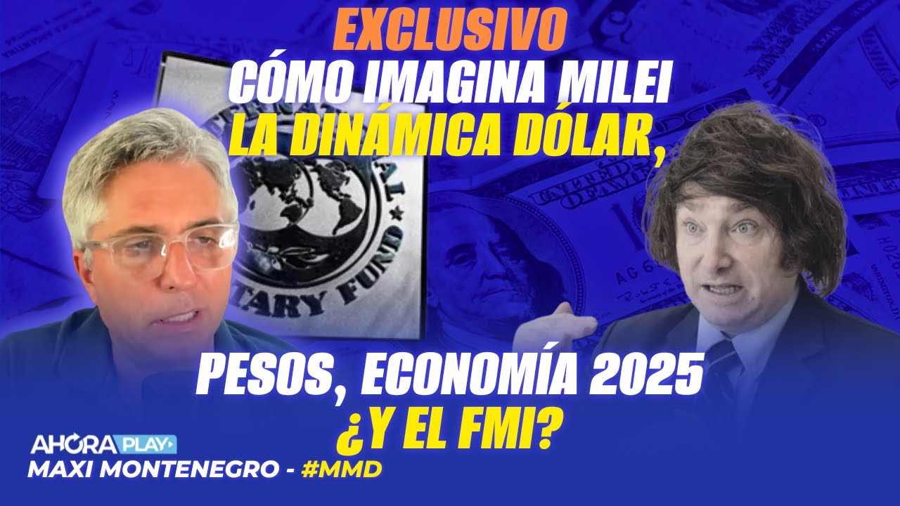 Milei's Economic Vision for 2025: Dollar Dynamics, Inflation, and Trade Policies | Galaxy.ai