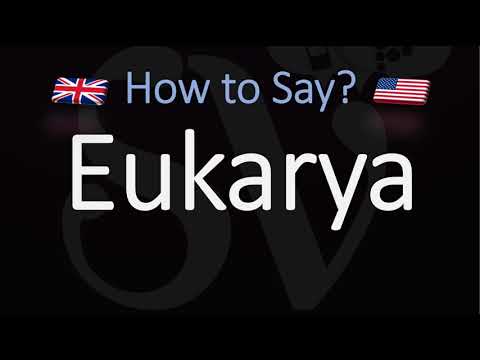How to Pronounce Eukarya? (CORRECTLY) Meaning & Pronunciation