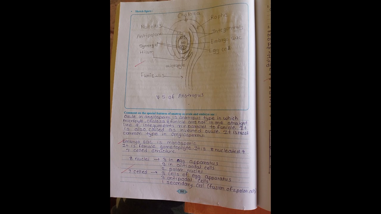 12 th Biology practical part B no 5