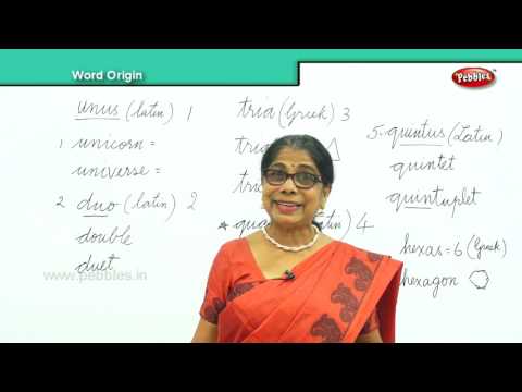 Word Origin | Learn English Words for Kids | Vocabulary for Beginners