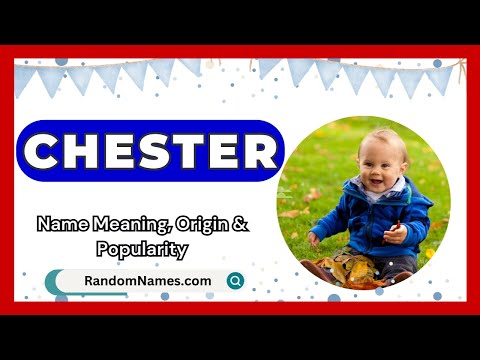 Chester - Baby Boy Name Meaning, Origin & Popularity - RandomNames.com