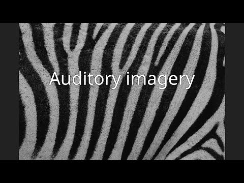 Auditory imagery