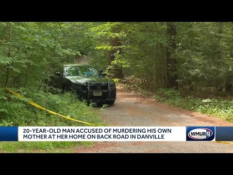 20-year-old man accused of killing his own mother at her home in Danville