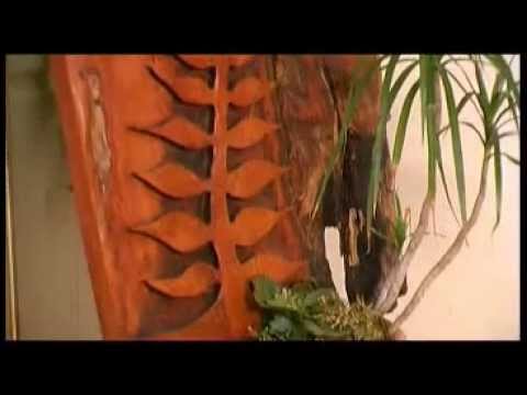 Ola Chiropractic Network Spinal Analysis Dr Claire Ryan- Totnes