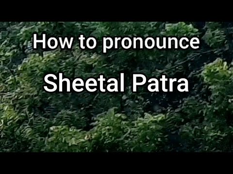 How to Pronounce Sheetal Patra