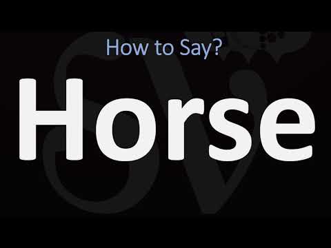 How to Pronounce Horse? (CORRECTLY)