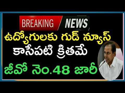 Good News To Telangana Government Employees||Telangana Government Released G.O number 48 just now..