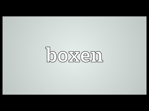 Boxen Meaning