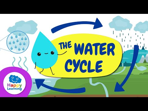 THE WATER CYCLE ????????????| Educational Videos for Children