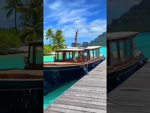 My favorite part about landing at the Bora Bora airport! #shorts #borabora #airport #travel