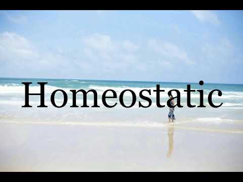 How To Pronounce Homeostatic🌈🌈🌈🌈🌈🌈Pronunciation Of Homeostatic
