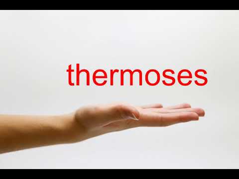 How to Pronounce thermoses - American English