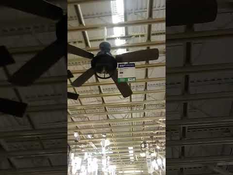abused fan at home Depot