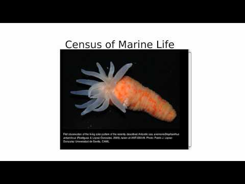 Michael Lesk - Data Curation: Just in Time or Just in Case?