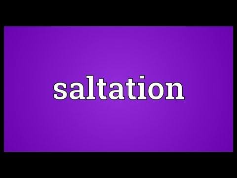 Saltation Meaning