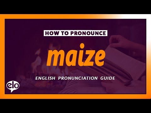 How To Pronounce Maize | Definition and Pronunciation (Human Voice)
