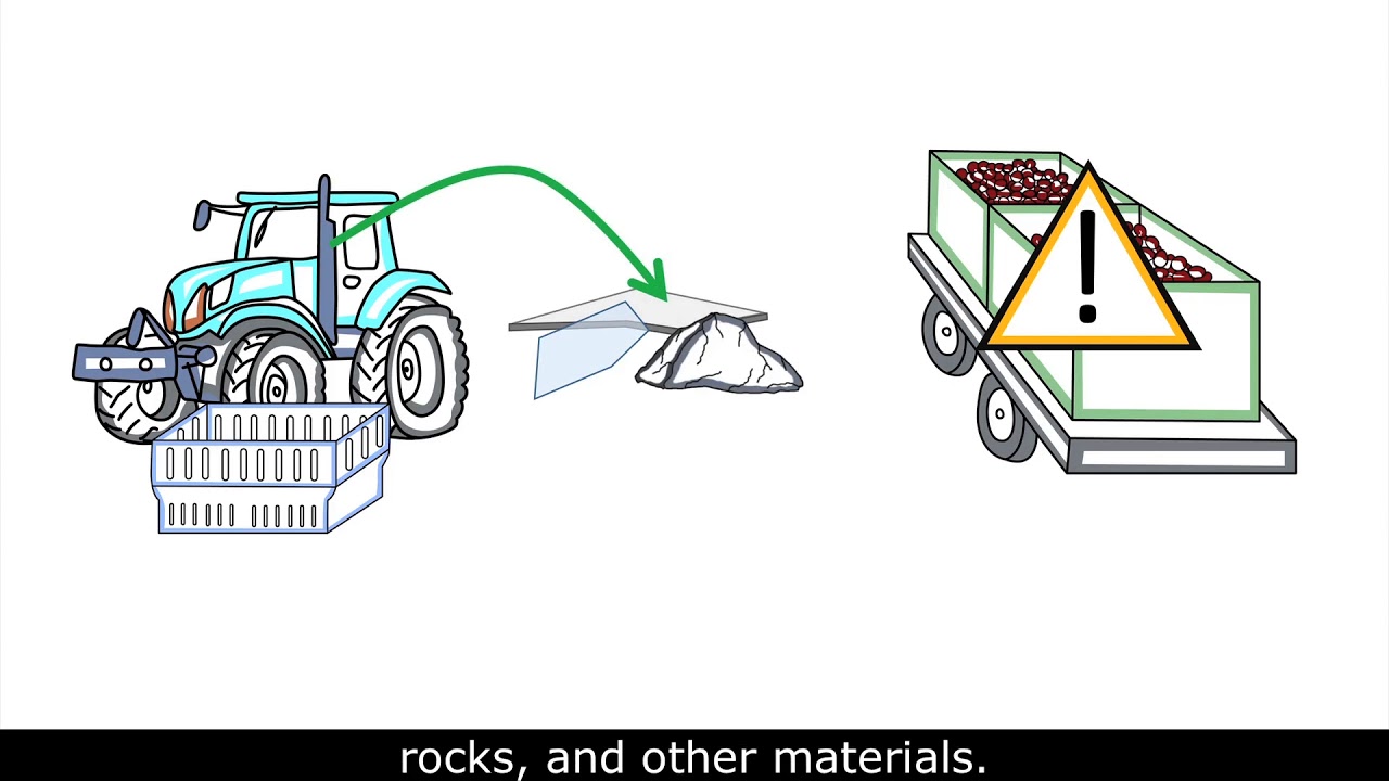 GAP Part 2: Field Harvest and Packing