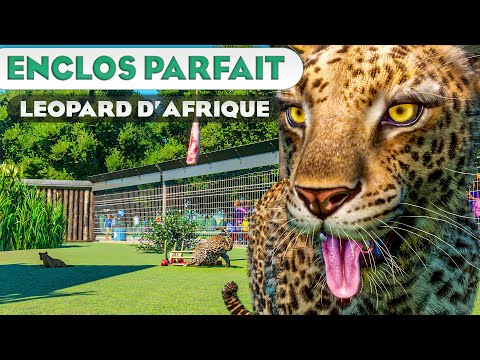 Steam Community :: Video :: Habitat Parfait du Léopard d'Afrique | LES ENCLOS PARFAITS : ÉPISODE ...