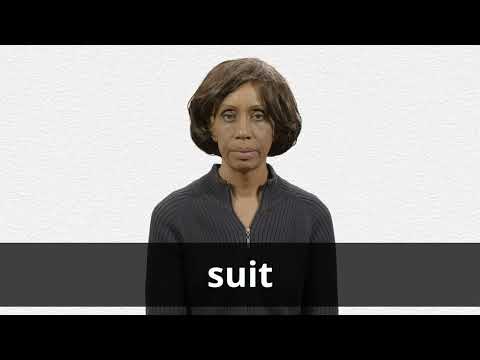 SUIT definition and meaning | Collins English Dictionary