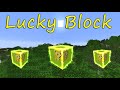 Minecraft Lucky Block Datapack [1.16+] Minecraft Data Pack