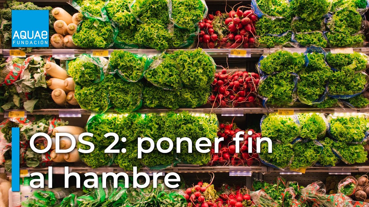 ODS 2 | Poner fin al HAMBRE, lograr la SEGURIDAD alimentaria y la mejora de la NUTRICIÓN