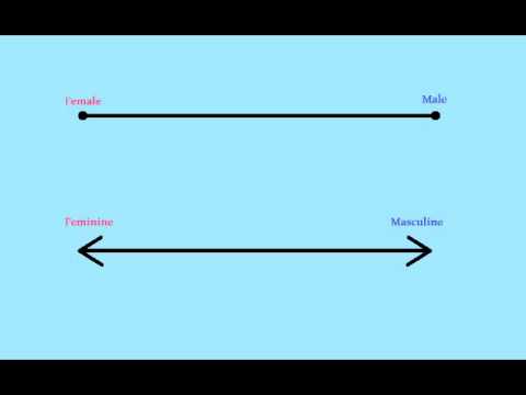 Gender Identity vs Gender Expression