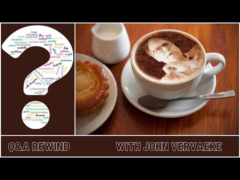 What is Vice? :: One Question with John Vervaeke