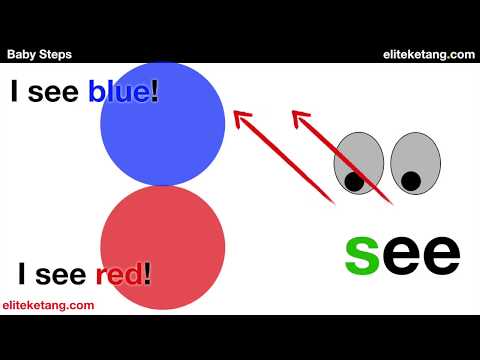 See - Sight Word - Learn to Read (for Kids!) - Elite English