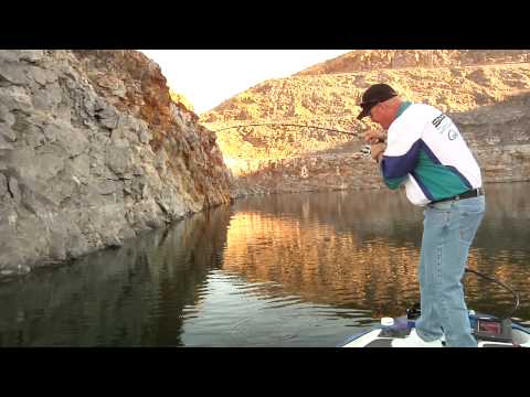 Float N’ Fly For Fall Bass | Bass Fishing Notes